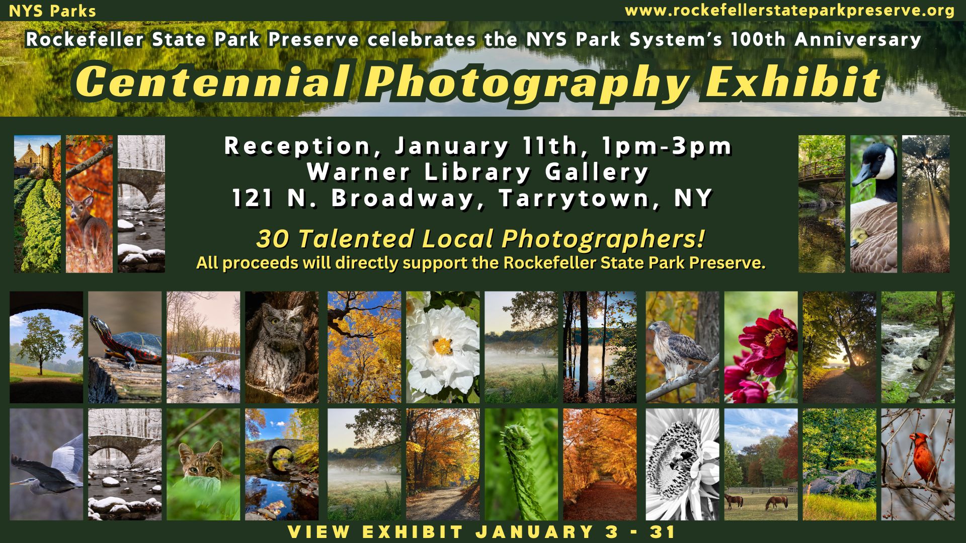 Art Galleries – Warner Library